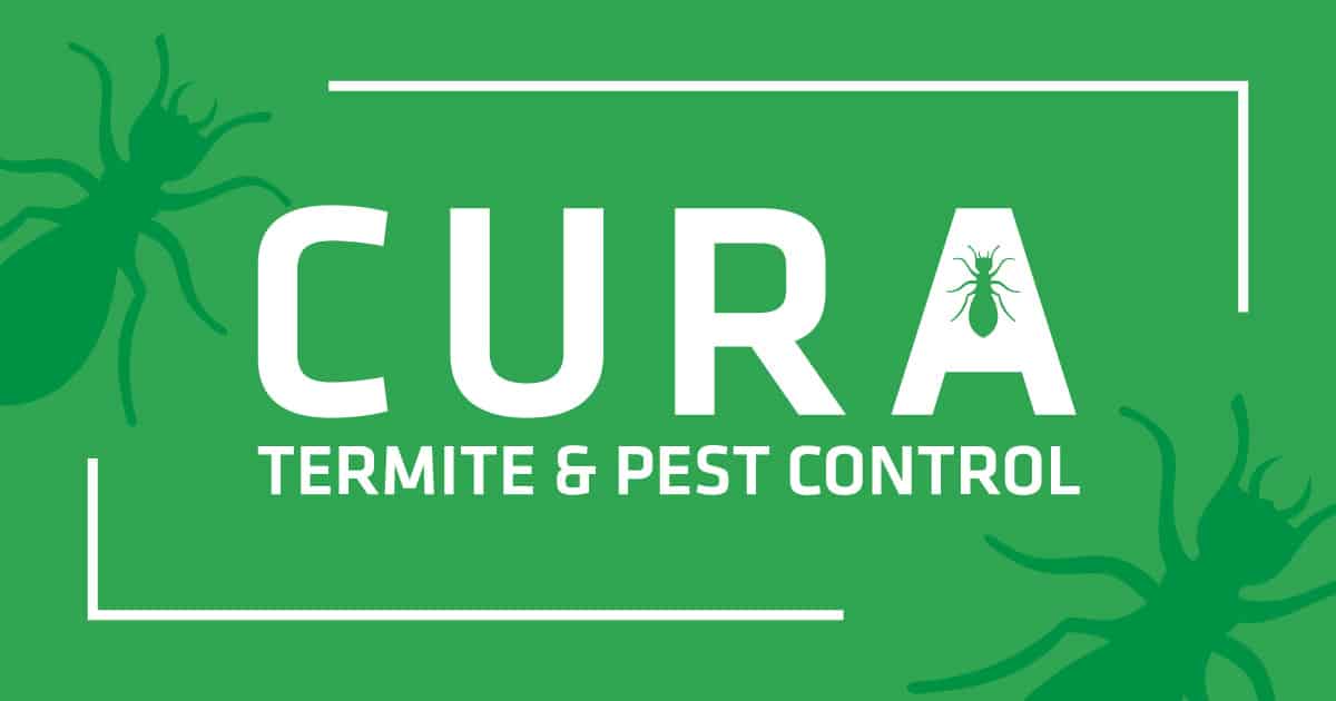 Complete Pest Control Orange County, CA | Cura Termite and Pest Control